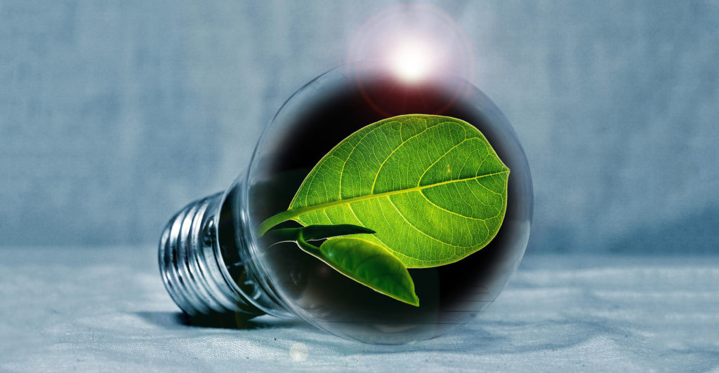 Nedbank sees its renewables lending spiking to R50-billion