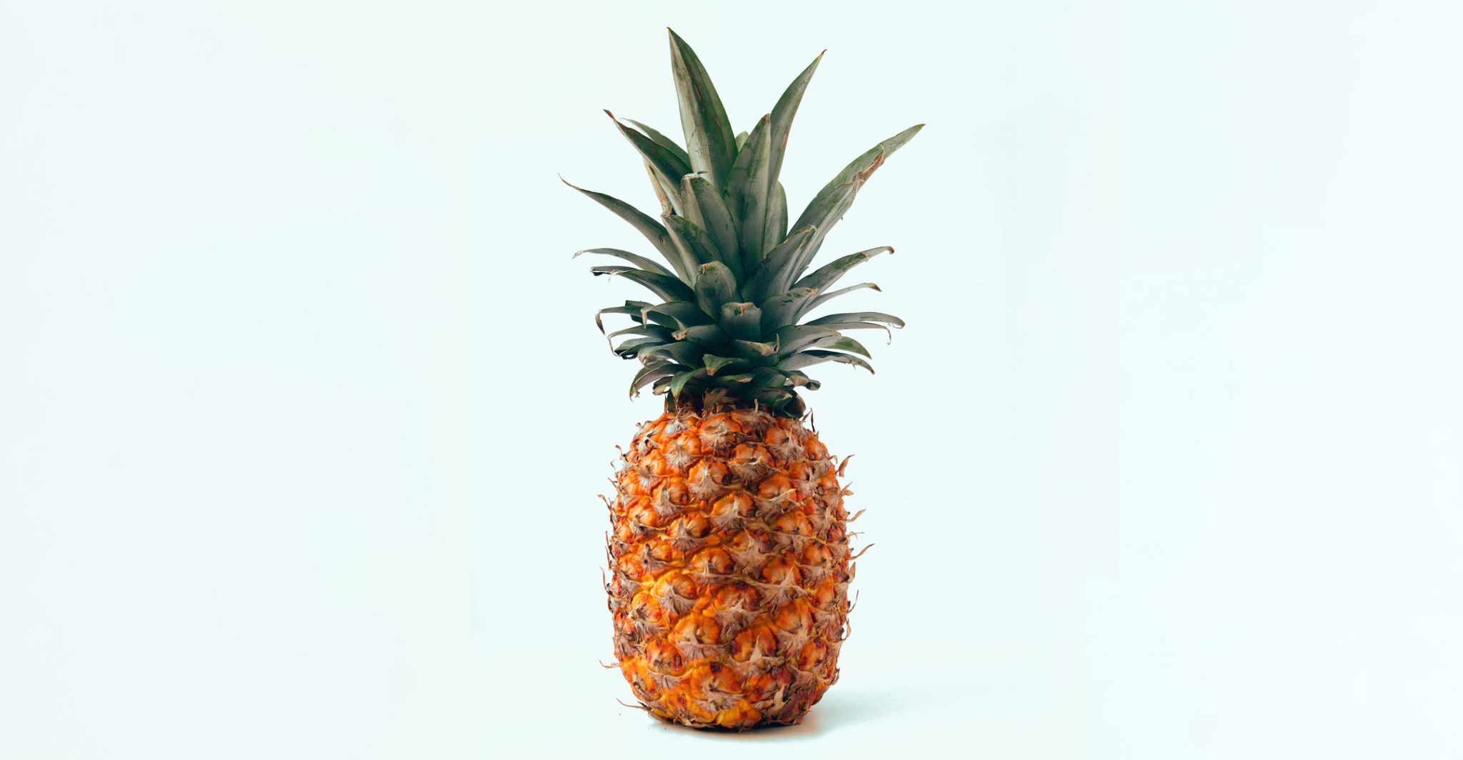 Pineapple raises R400-million in series-B round - TechCentral
