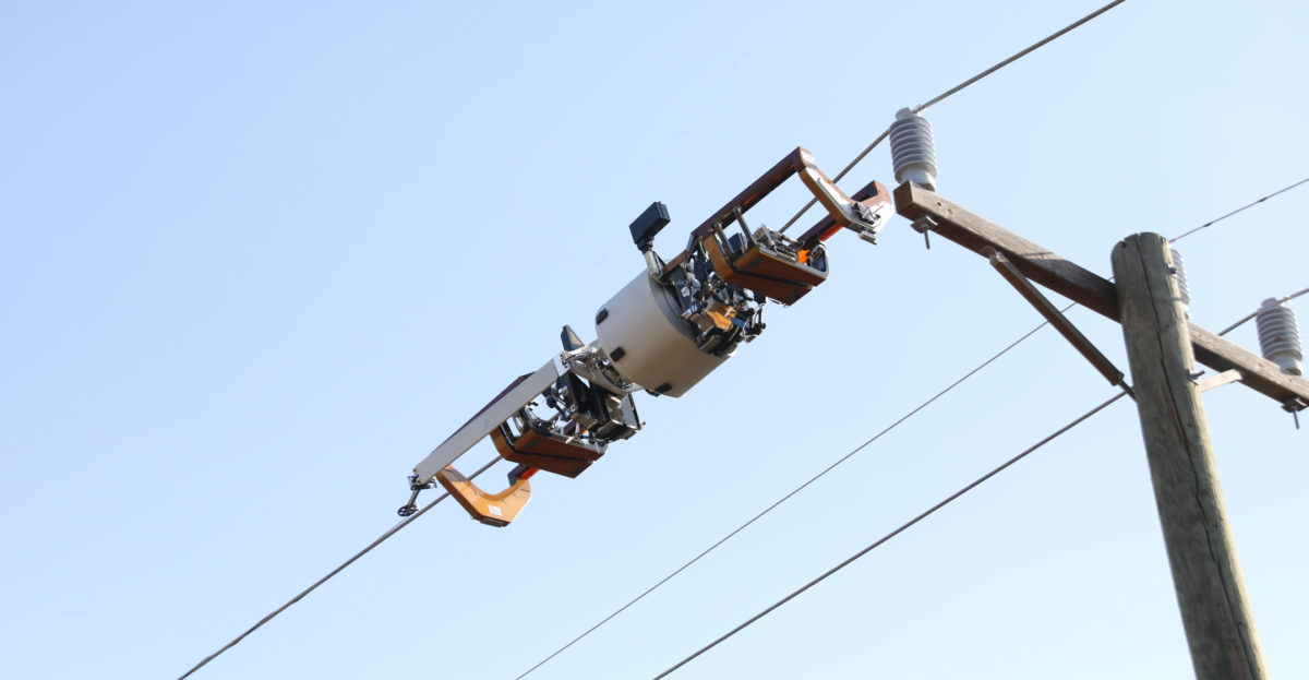 Facebook eyes 'next billion' with 2Africa cable, fibre robots ...