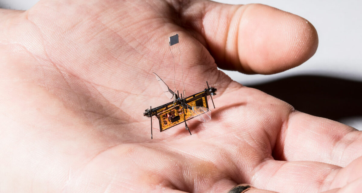 Five of the world's tiniest robots - TechCentral