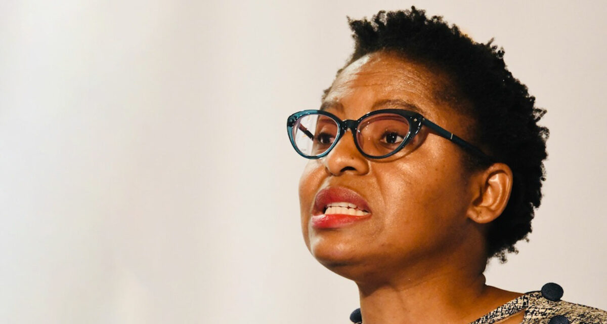 High drama as minister turns on Telkom at AGM - TechCentral Public sector