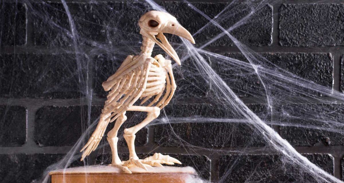 Massive brand value destruction at Twitter - TechCentral