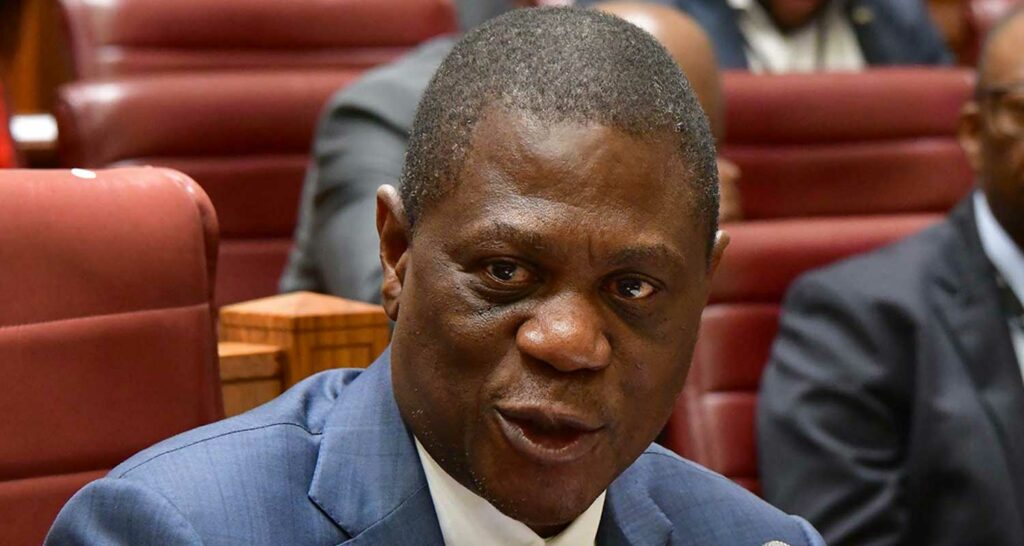 Mashatile to meet top CEOs amid investment strike
