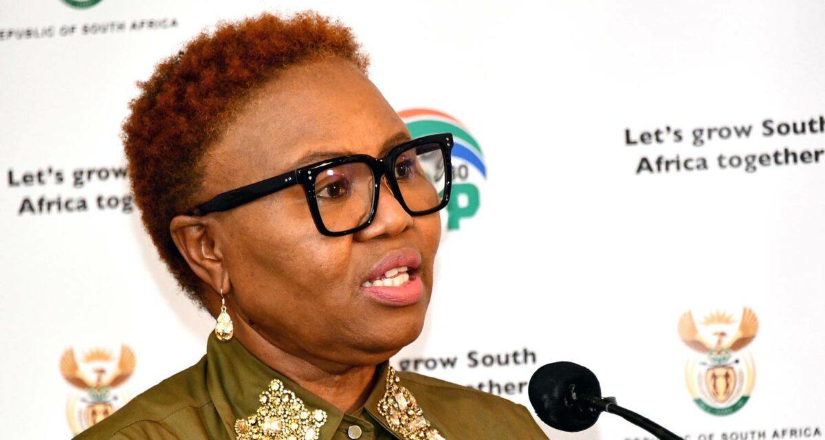 DA to tackle Lindiwe Zulu over grants debacle - TechCentral