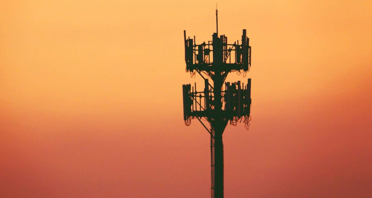 Cell C's best days are still to come: Jorge Mendes