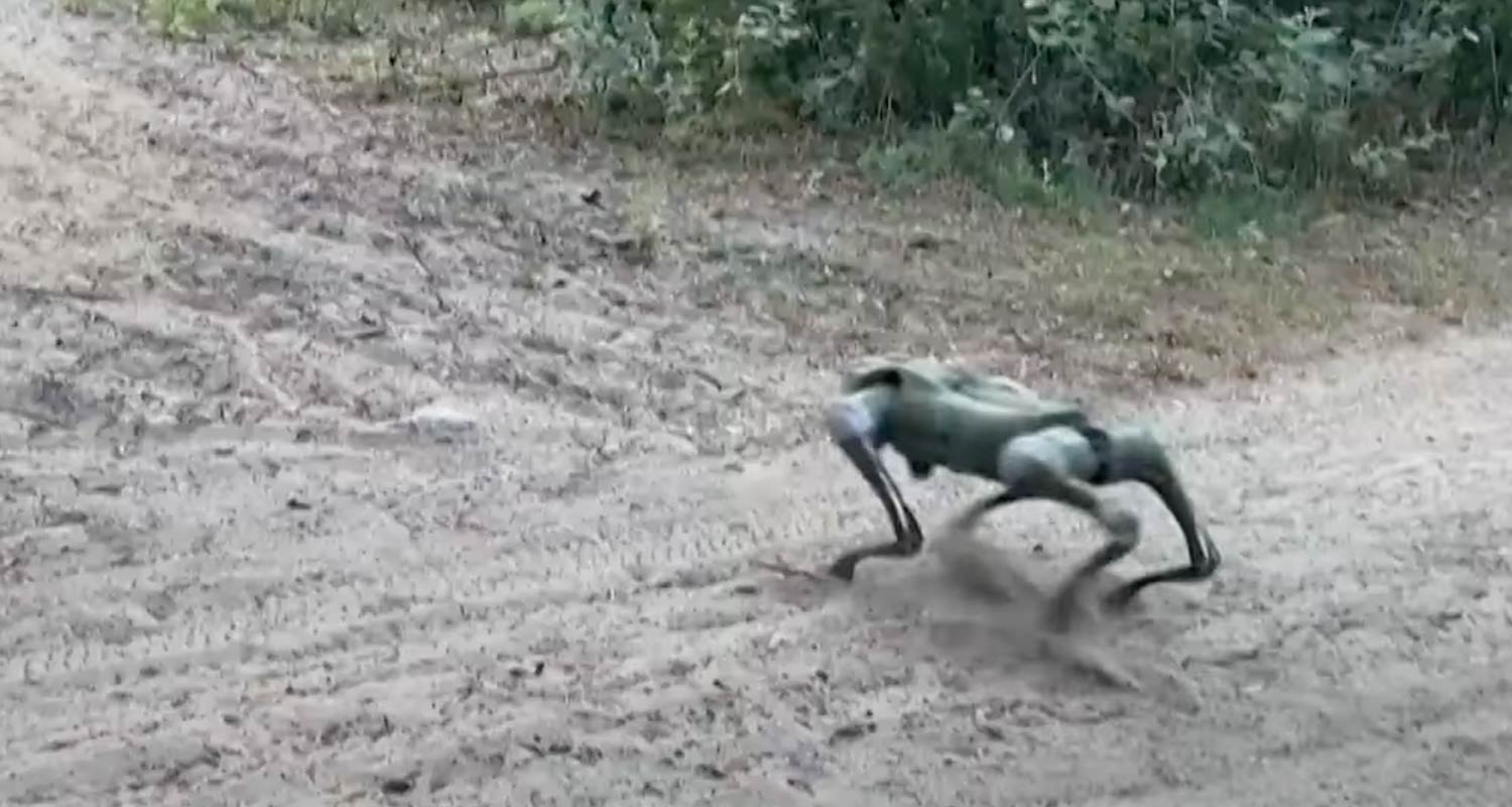 Bookmarks | Ukraine to unleash robot dogs on its front lines
