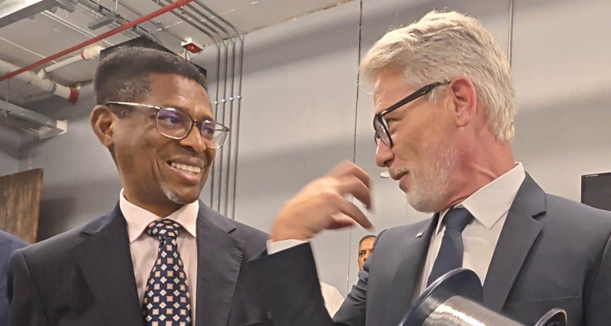 Pictures | Inside South Africa's biggest fibre factory