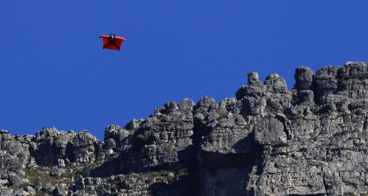 South Africa’s human falcon – TechCentral - South African Live